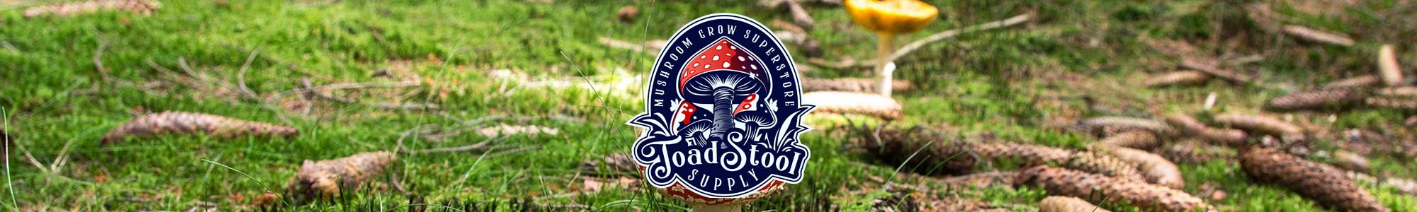 Spores – Toadstool Supply